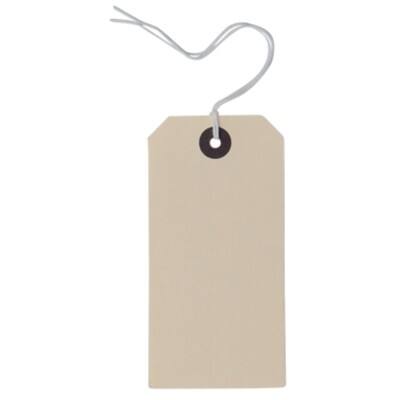 Double Reinforced Heavy Duty Tags 120 x 60 mm Pack 1000 | Viking Direct UK